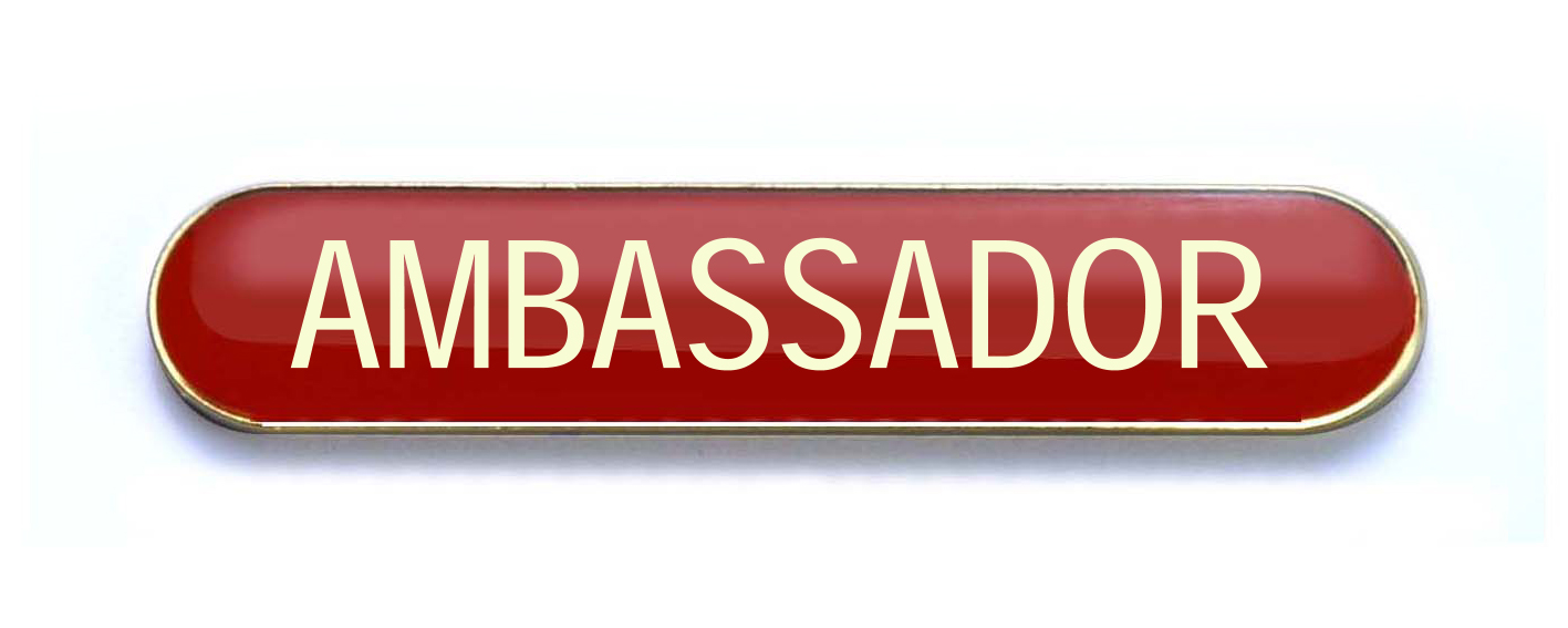 Coloured Badges - School Merit Stickers