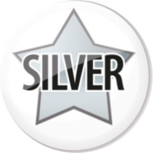 Silver Star Button Badge - School Merit Stickers