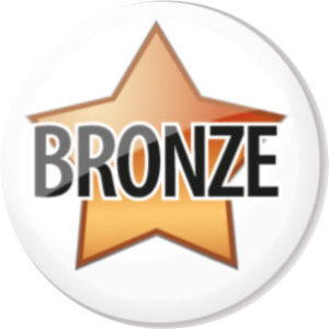 Bronze Star Button Badge - School Merit Stickers
