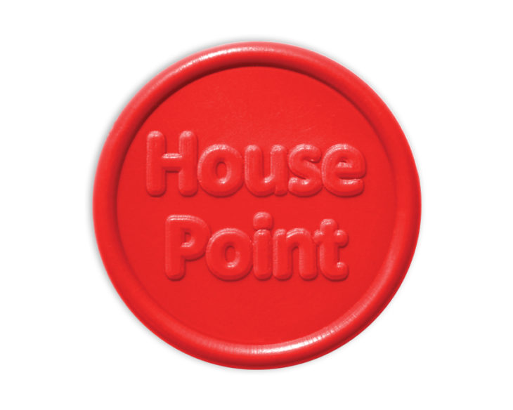 Plastic Tokens - School Merit Stickers