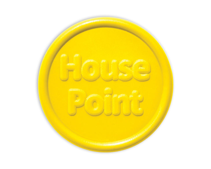 Blue House Point Plastic Tokens (Pack Of 25) - School Merit Stickers