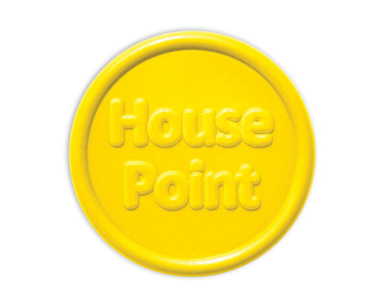 Plastic Tokens - School Merit Stickers