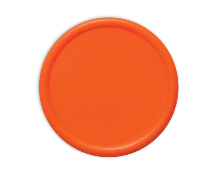 Plastic Tokens - School Merit Stickers