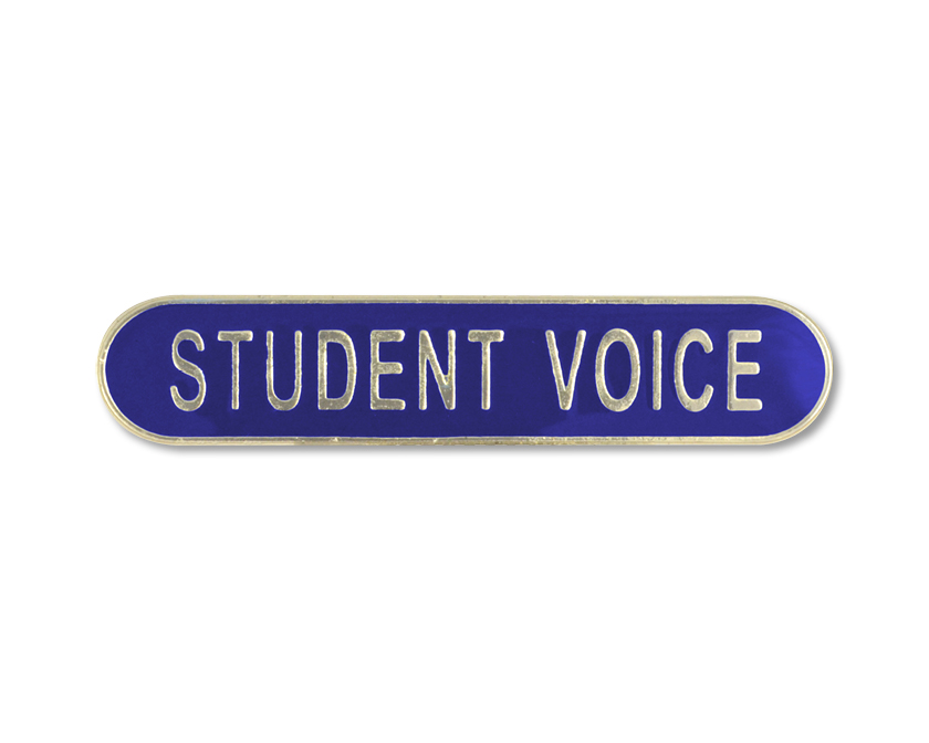 Student Voice Logo