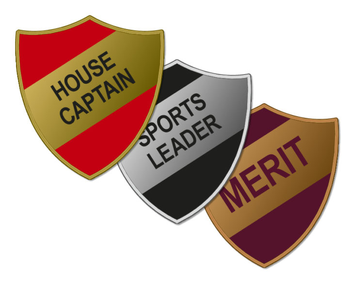 Enamel Badges (Title) - School Merit Stickers