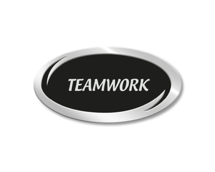 Teamwork 'Values' Enamel Badge - School Merit Stickers