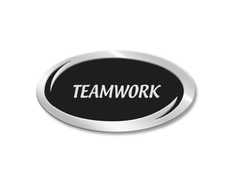 Teamwork 'Values' Enamel Badge - School Merit Stickers