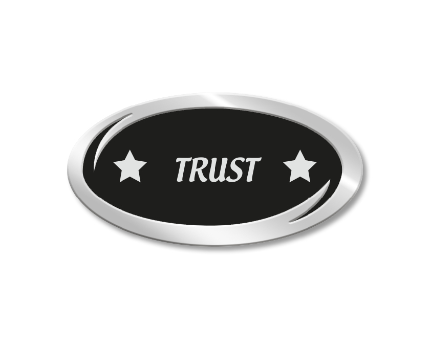 Trust 'Values' Enamel Badge - School Merit Stickers