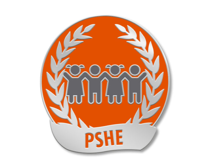 Pshe Enamel Badge - School Merit Stickers