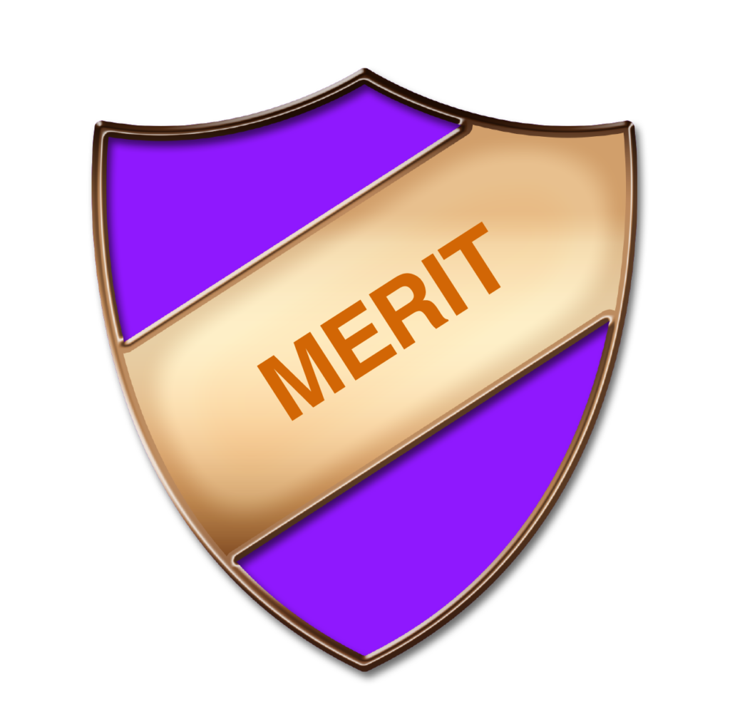 Style B Badges - School Merit Stickers