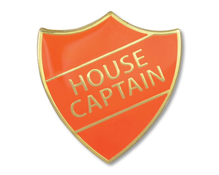 Enamel Shield Badges - School Merit Stickers