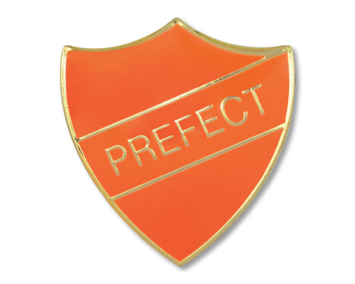 Enamel Shield Badges - School Merit Stickers