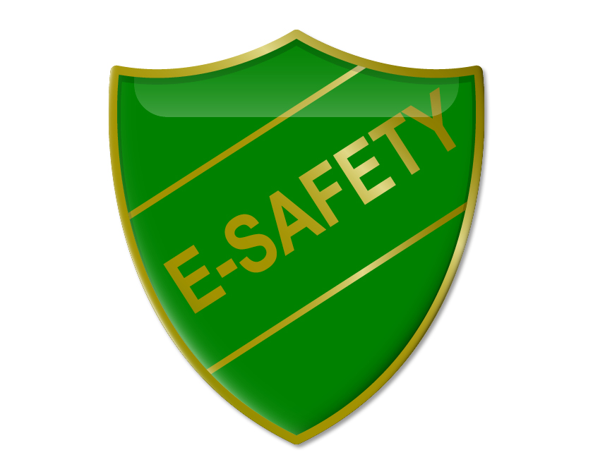E-Safety Badge Green - School Merit Stickers