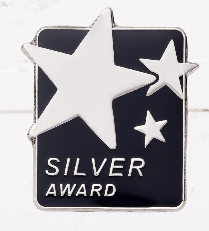 Silver Award Badge (Pack Of 5) - School Merit Stickers
