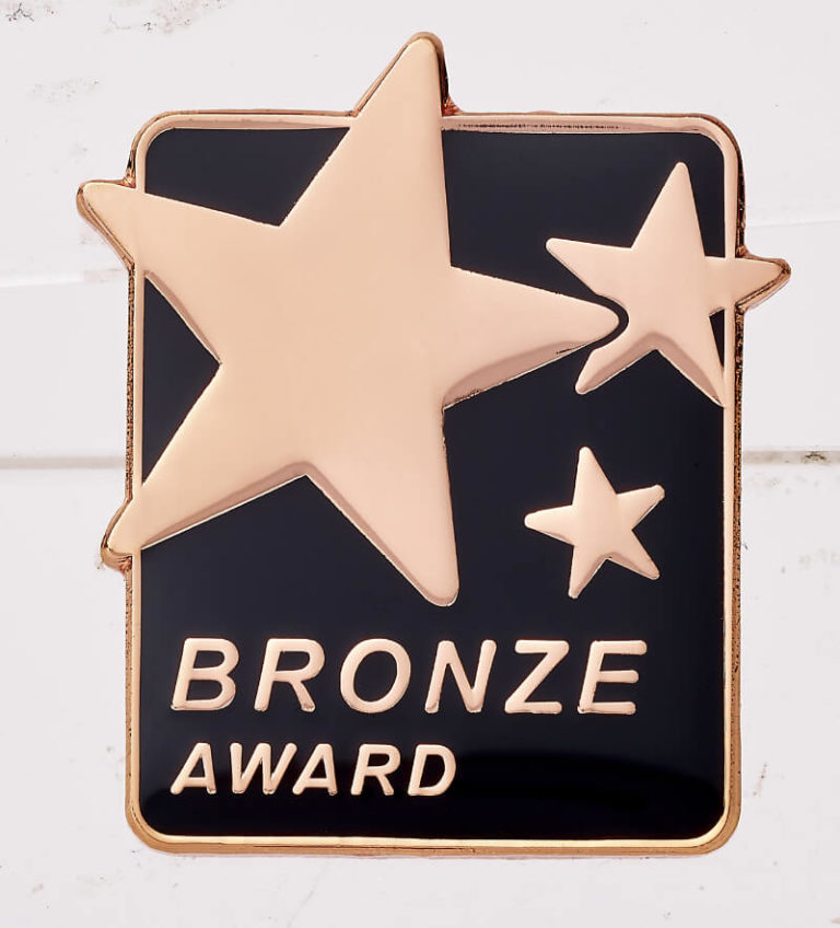 Bronze Award Badge (Pack Of 5) - School Merit Stickers