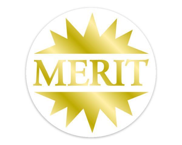 Metallic 'Merit' Sticker 19mm Big Box - School Merit Stickers