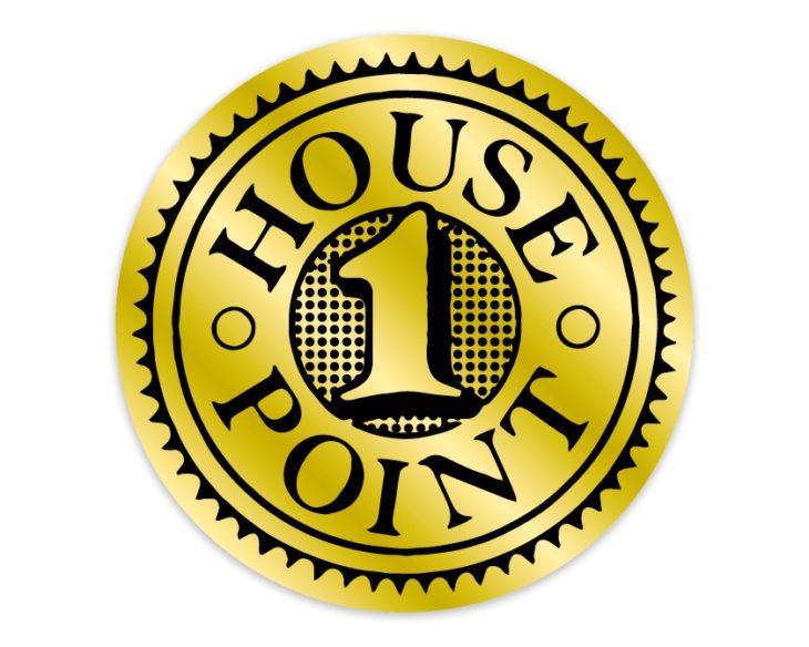 Bronze 3D Star Badges Big Box - School Merit Stickers