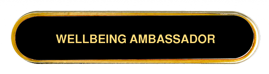 Wellbeing Ambassador (Pack Of 5) - School Merit Stickers