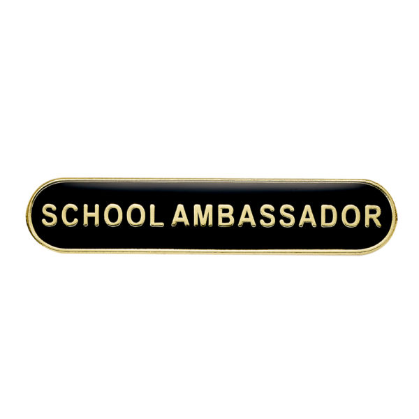 School Ambassador Badges (Pack Of 5) - School Merit Stickers