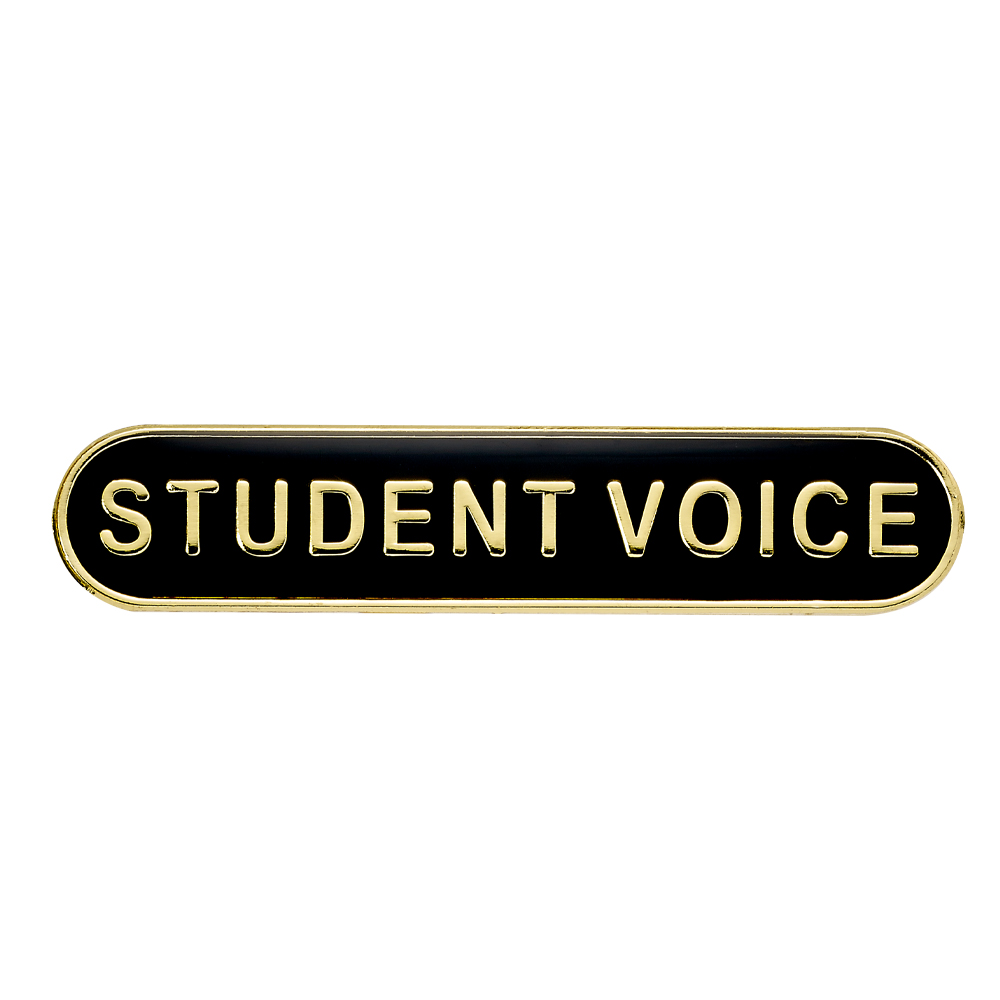 Student Voice Badges (Pack Of 5) - School Merit Stickers