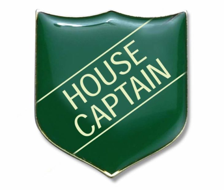House Captain Badges (Pack of 5) - School Merit Stickers