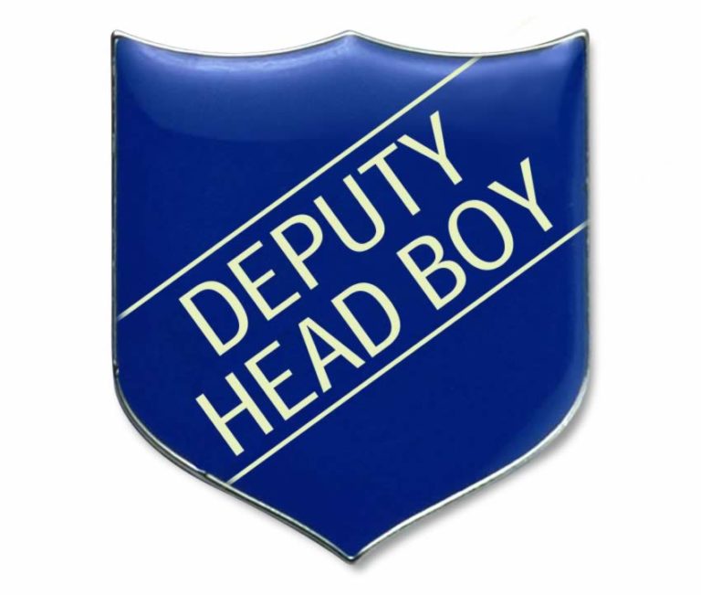 Deputy Head Boy Badge Blue (Pack Of 5) - School Merit Stickers