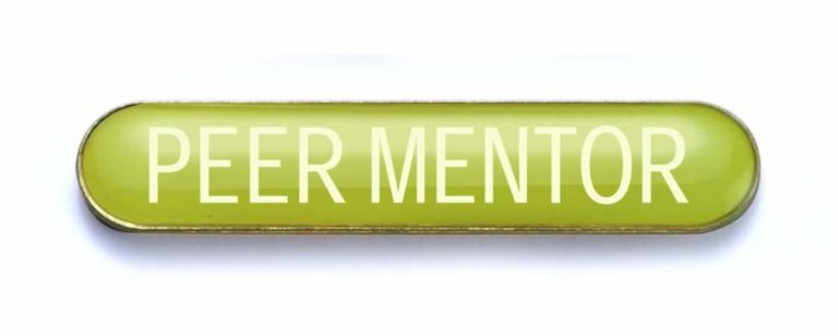 Peer Mentor - School Merit Stickers