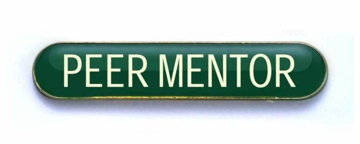 Peer Mentor - School Merit Stickers