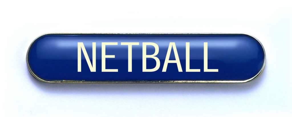 Netball Badge Blue (Pack Of 5) - School Merit Stickers