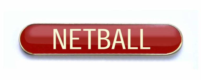 Netball - School Merit Stickers
