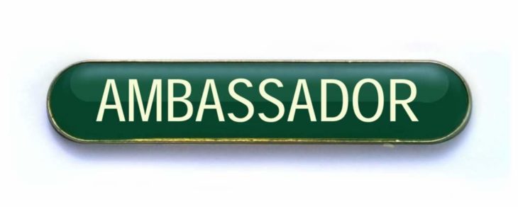 Ambassador - School Merit Stickers