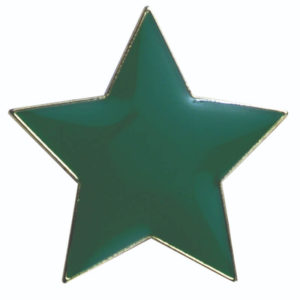 Blue Star Badge (Pack Of 5) - School Merit Stickers
