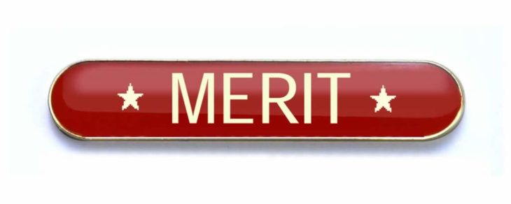 Merit - School Merit Stickers