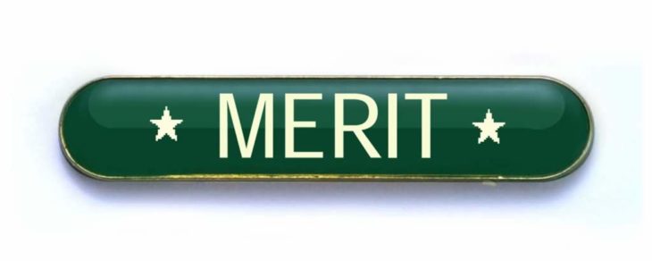 Merit - School Merit Stickers