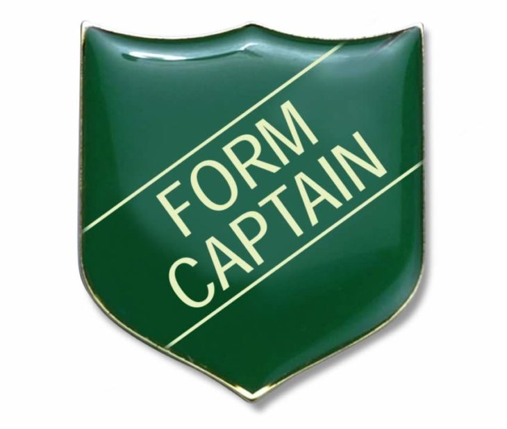 Enamel Shield Badges - School Merit Stickers