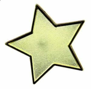 Bronze Polished Star Badges Big Box - School Merit Stickers