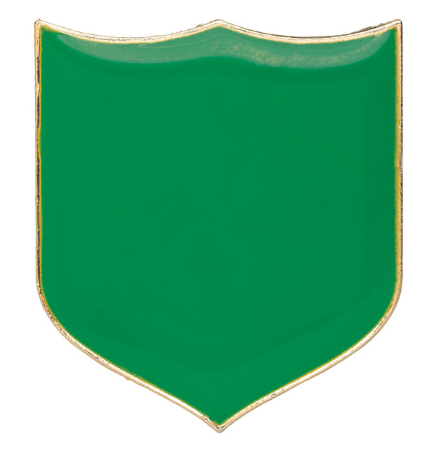 Green Plain Badge (Pack Of 5) - School Merit Stickers