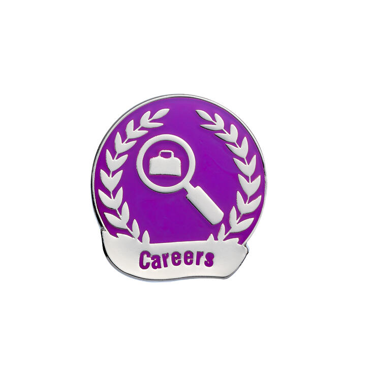 Careers Enamel Badges - School Merit Stickers