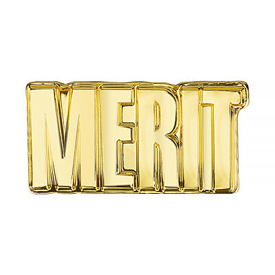 Merit Enamel Badges (Gold) - School Merit Stickers