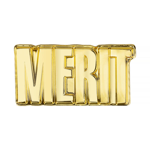 Merit Enamel Badges (Gold) - School Merit Stickers