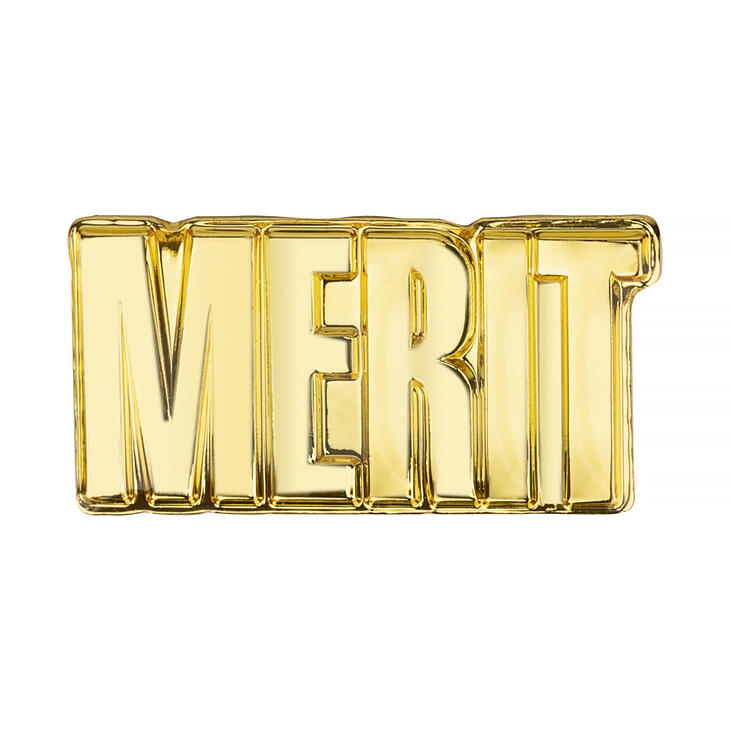 Merit Enamel Badges (Gold) - School Merit Stickers
