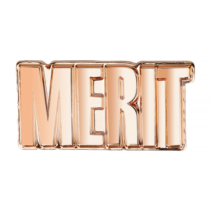 Merit Enamel Badges (Bronze) - School Merit Stickers