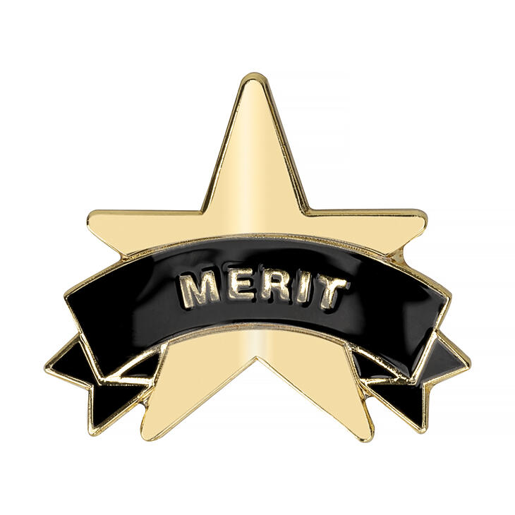 Big Boxes - School Merit Stickers