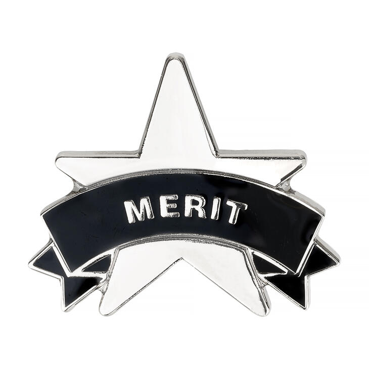 Silver Merit Star Badges Big Box - School Merit Stickers