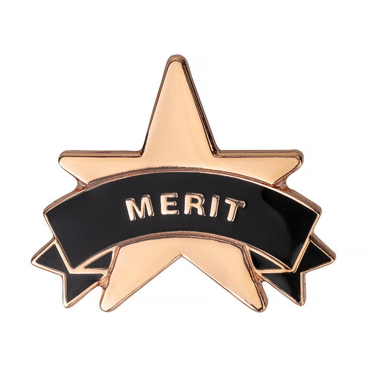 Bronze Merit Star Badges Big Box - School Merit Stickers
