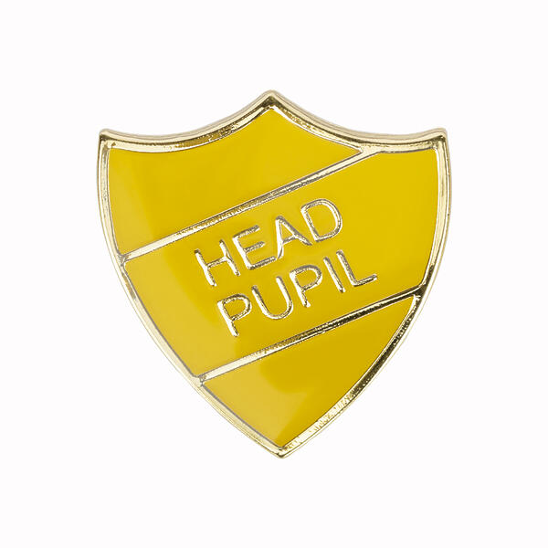 Head Pupil Enamel Badges - School Merit Stickers