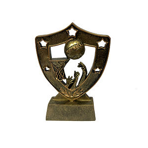 Netball Mini Star Trophy - School Merit Stickers