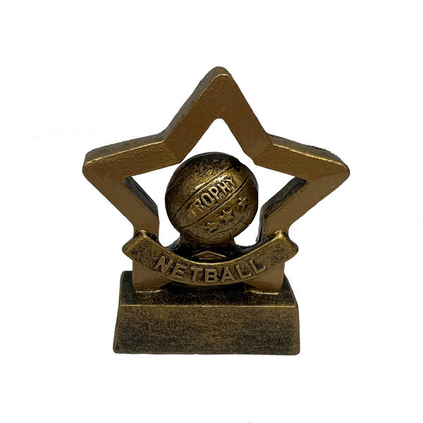 Netball Mini Star Trophy - School Merit Stickers