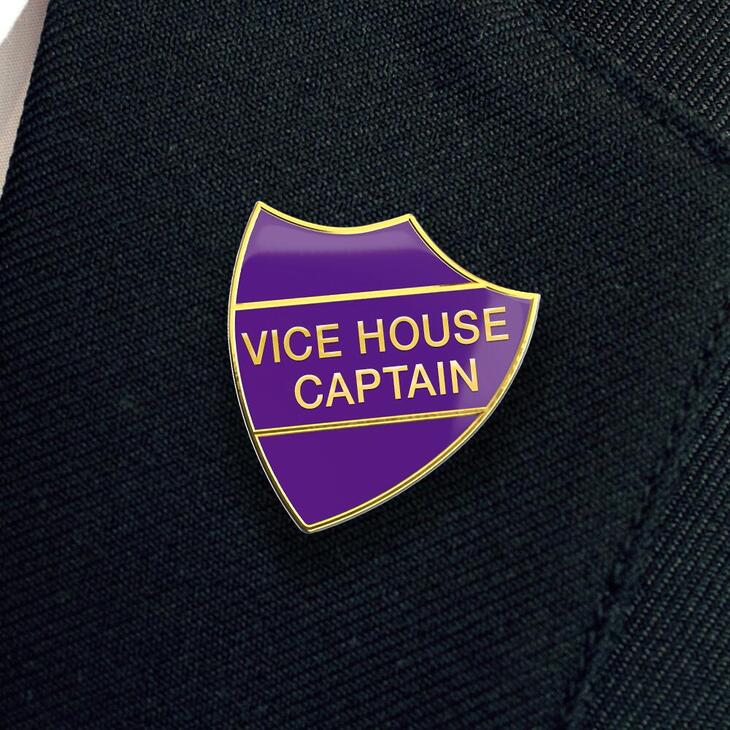 House Vice Captain Enamel Badge (Pack Of 5) - School Merit Stickers